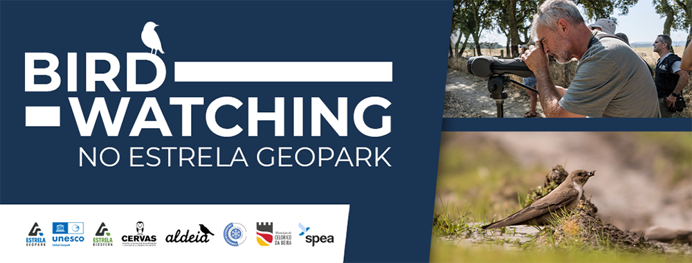 Associação Geopark Estrela